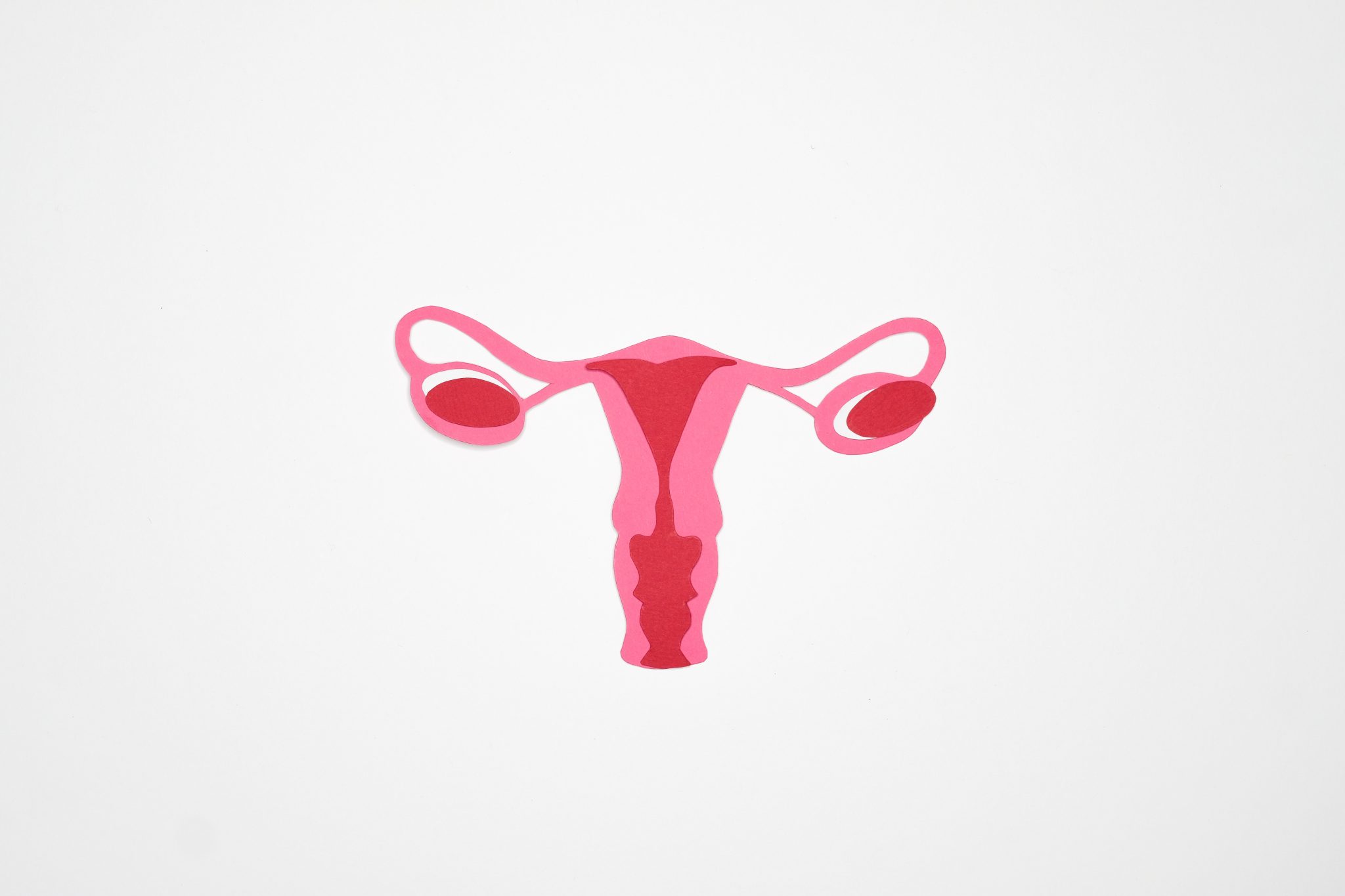 Uterus Lining Shed - How to Detect Abnormal Uterine Bleeding