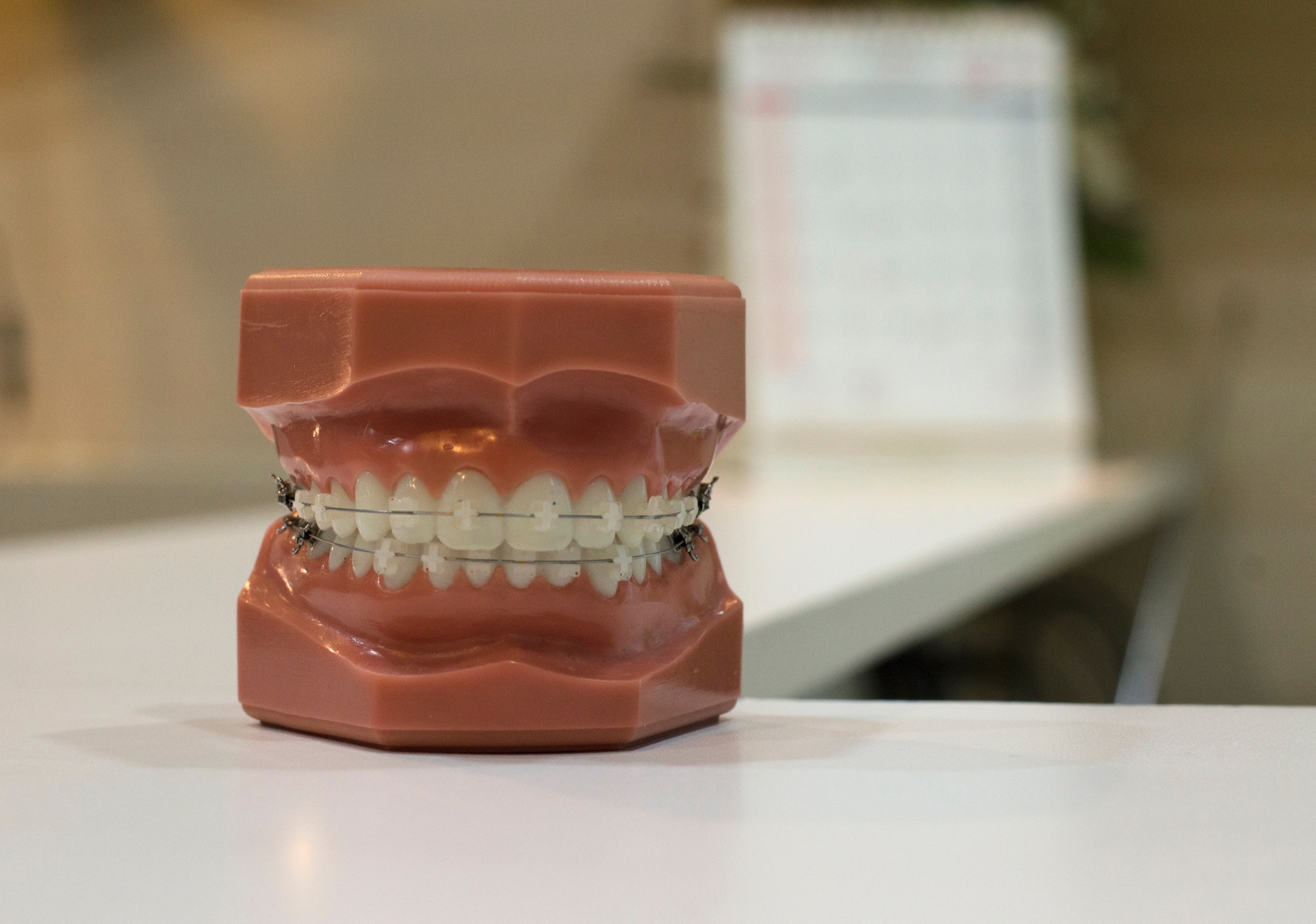 What Are the Sharp Teeth Called and How to Maintain Them?